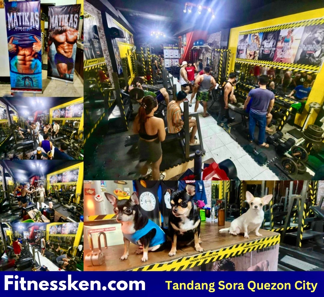 Muscle City Gym Tandang Sora Quezon City, Gym Rate, Schedule, Location ...