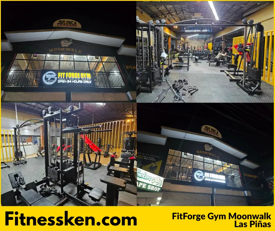FitForge Gym Moonwalk, Las Piñas, Gym Rates Schedule, Location, and ...